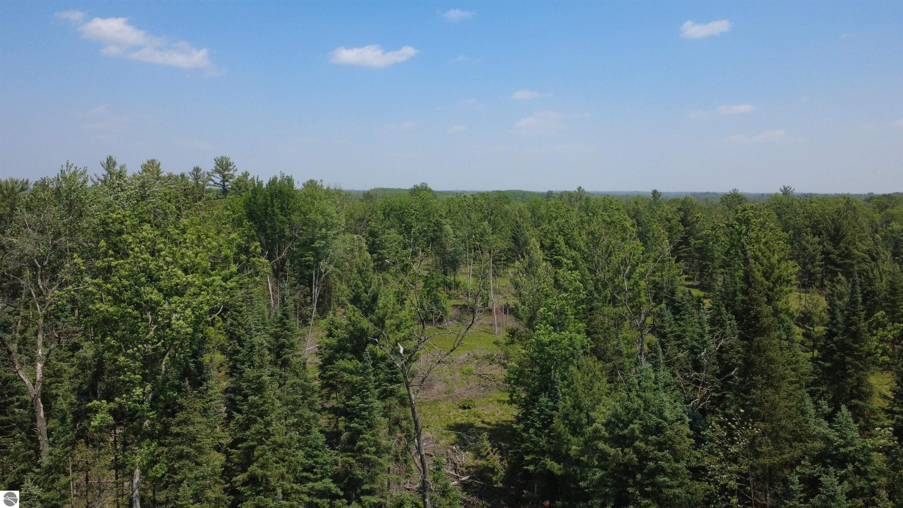 X Oleskie Trail West Branch MI 48661 120 000