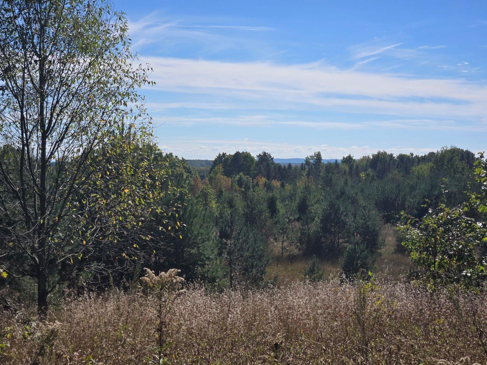 00 Moorestown Rd, Norwich Township Missaukee, MI 49651 | MLS ...